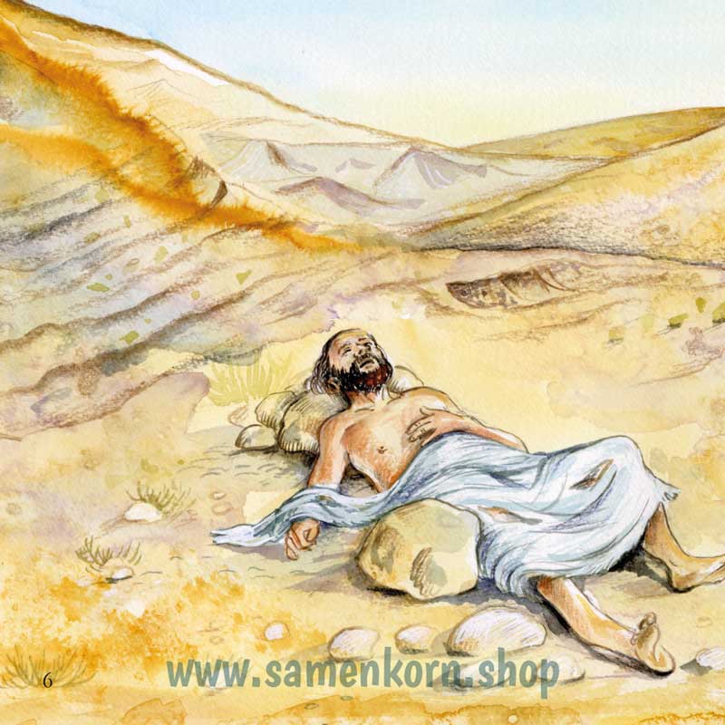 Der barmherzige Samariter | 894334